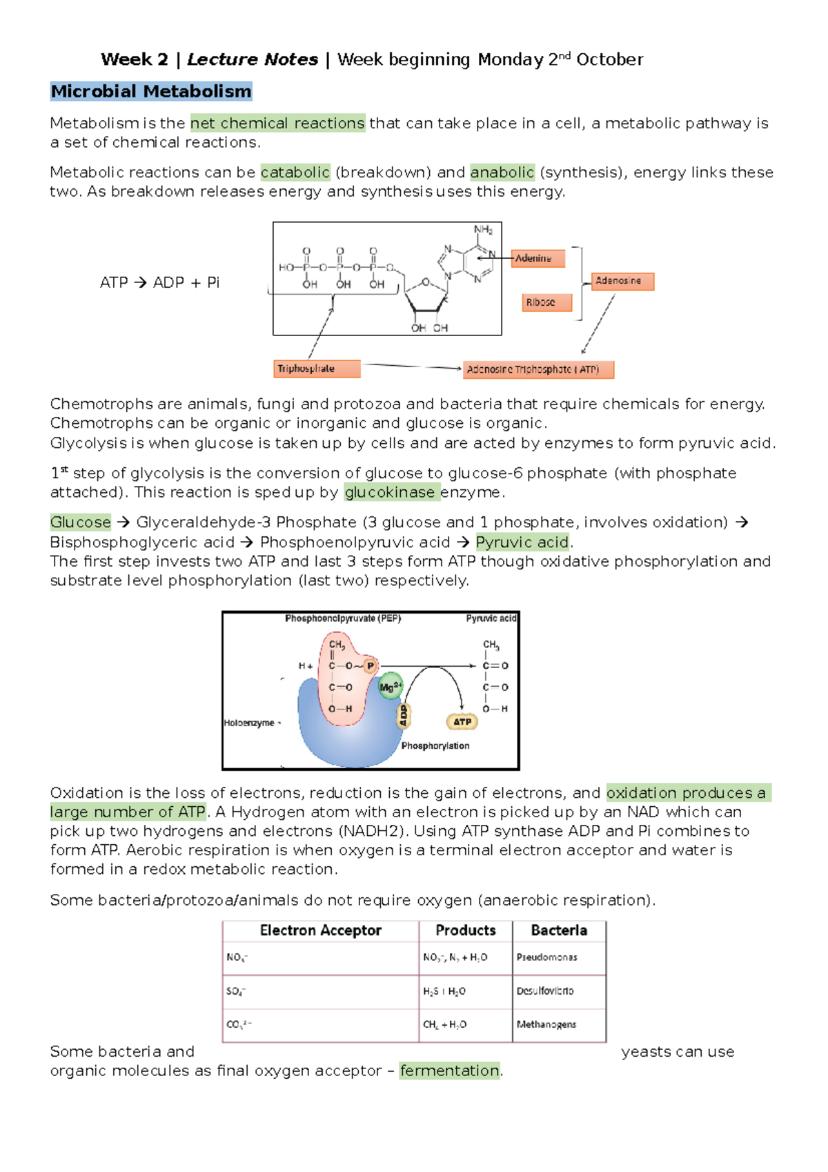 Microbial Metabolism - Week 2 | Lecture Notes | Week beginning Monday ...