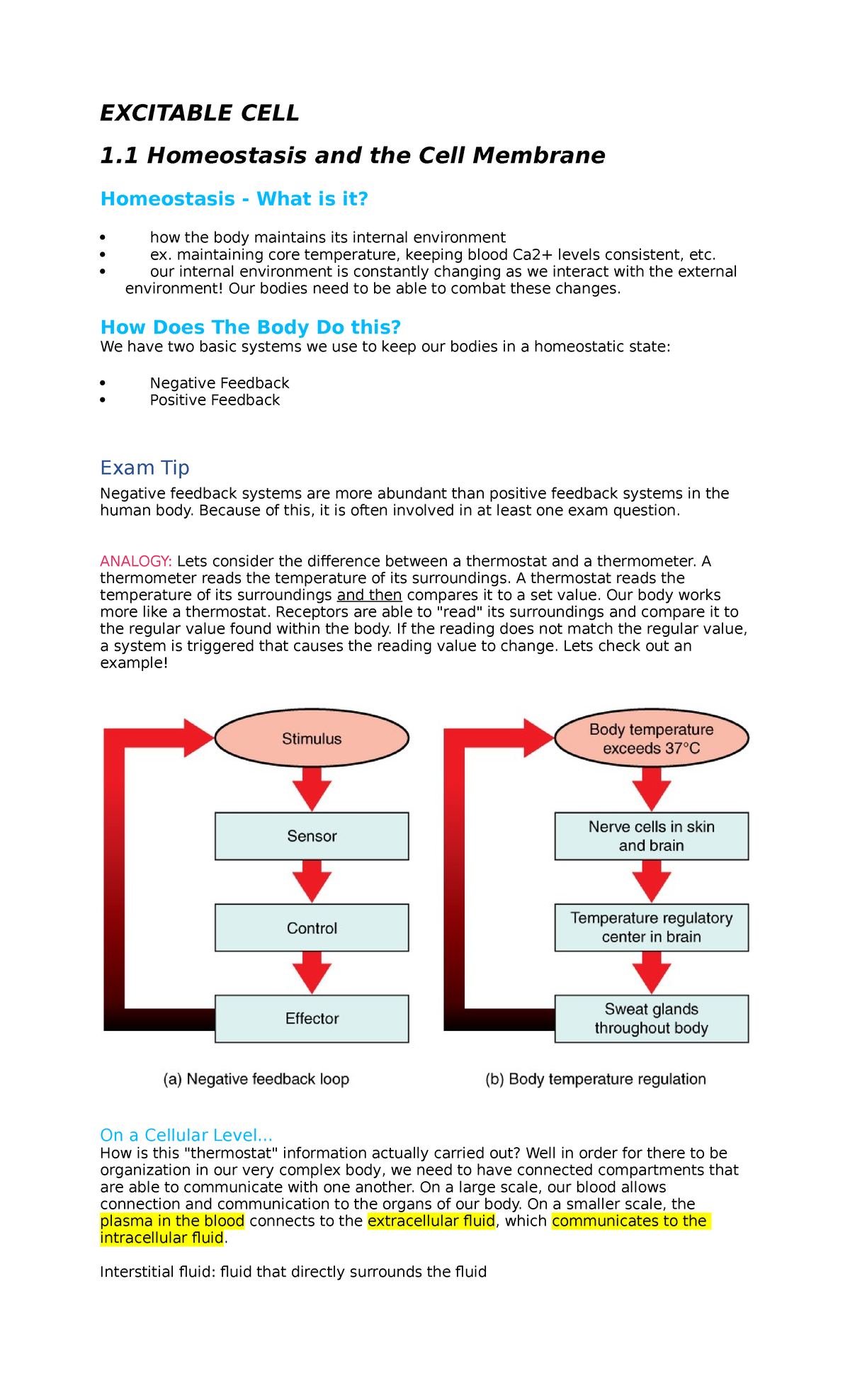 Phys - Midterm 1 - EXCITABLE CELL 1 Homeostasis and the Cell Membrane ...