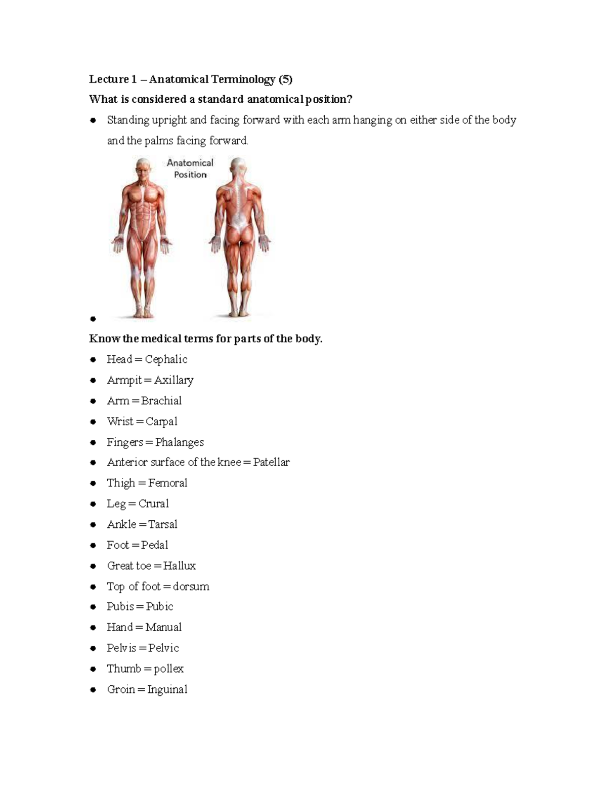 MSPP Exam 1 Review Questions 23 - Lecture 1 – Anatomical Terminology (5 ...