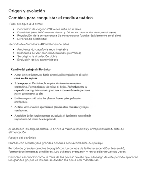 Infografia Placas Neurales Placodas Arcos Branquiales - REALIZADO POR ...