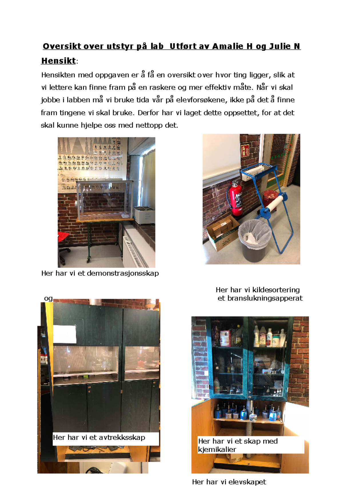 Oversikt over utstyr på lab - Når vi skal jobbe i labben må vi bruke ...
