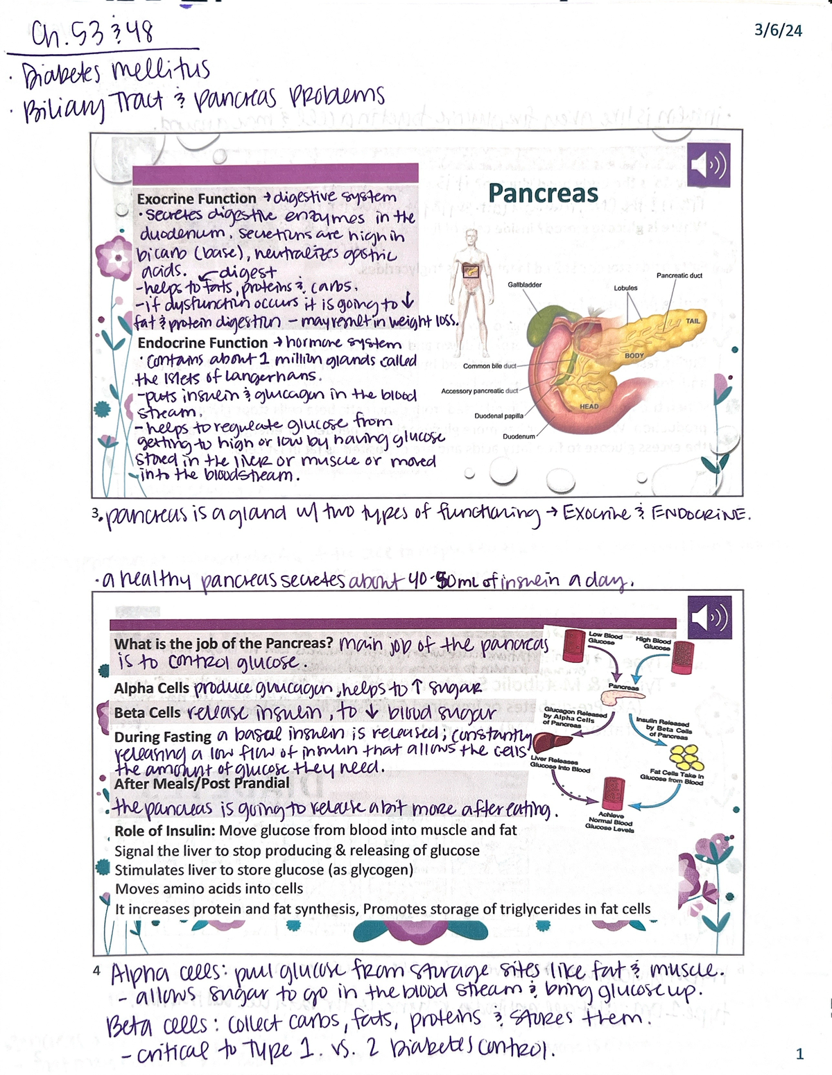 Medsurg Ch.53 & 48 - DM, Biliary Tract, Pancreas - NURS1610 - Studocu