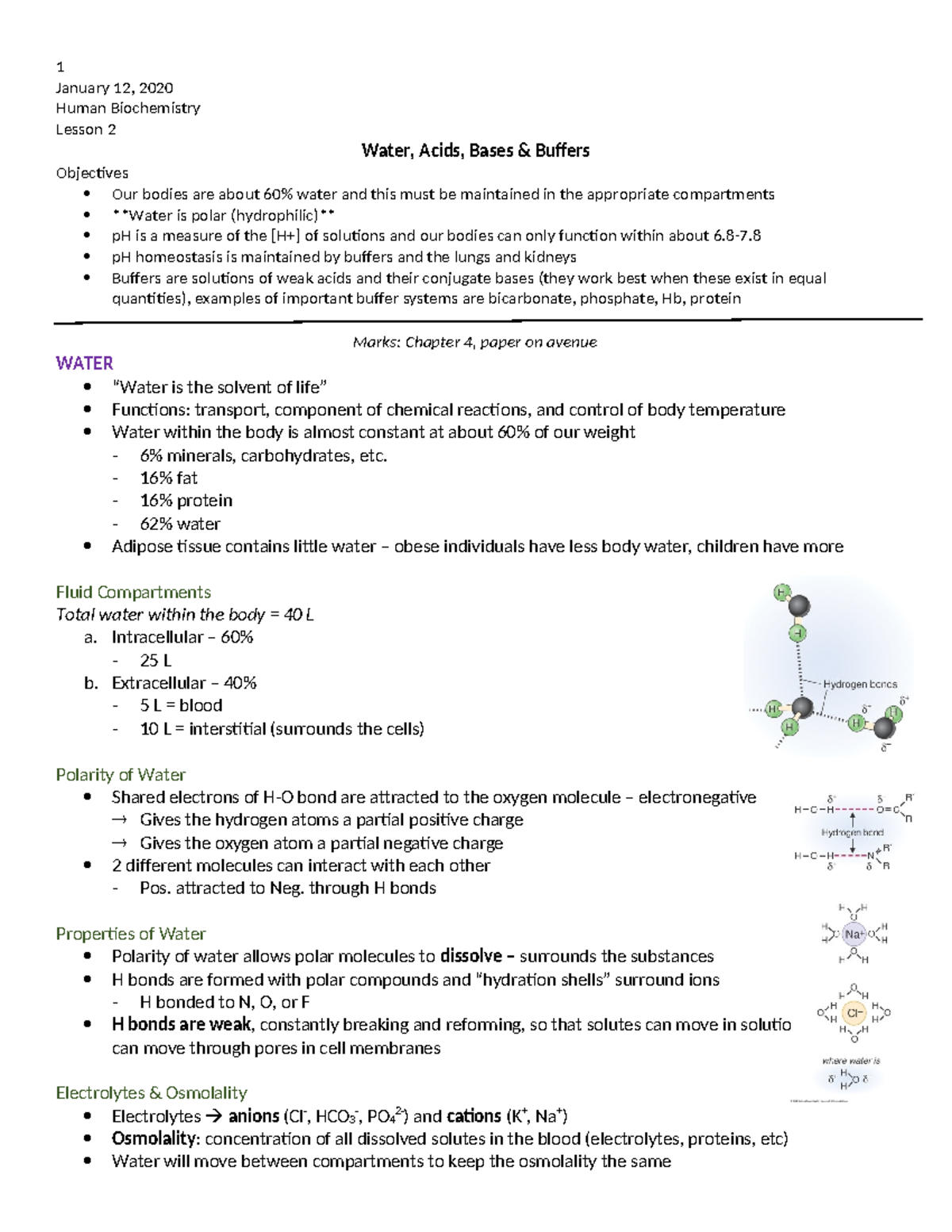 02 Water, Acids, Bases & Buffers - January 12, 2020 Human Biochemistry ...