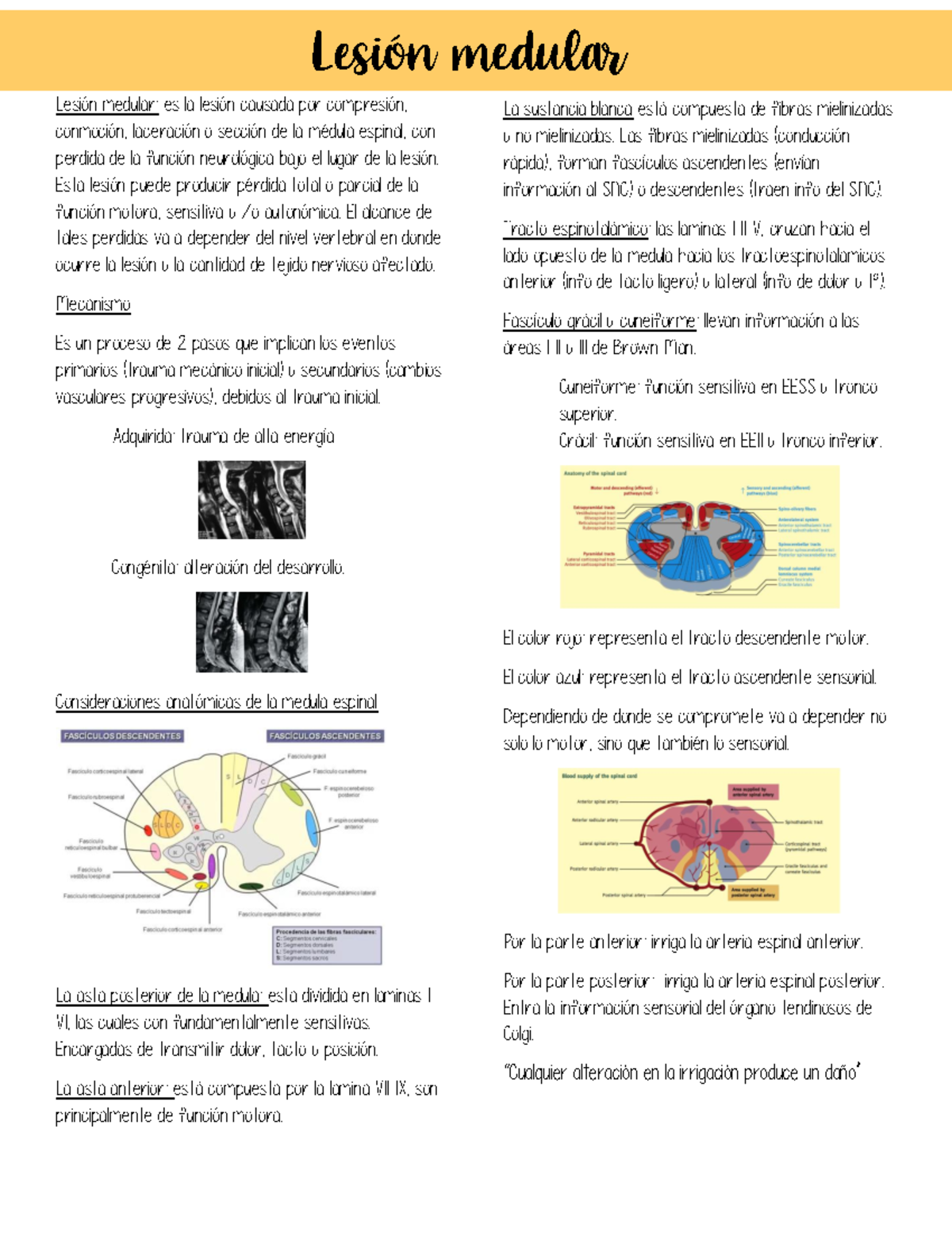 4. LM - Lesión medular: es la lesión causada por compresión, conmoción ...