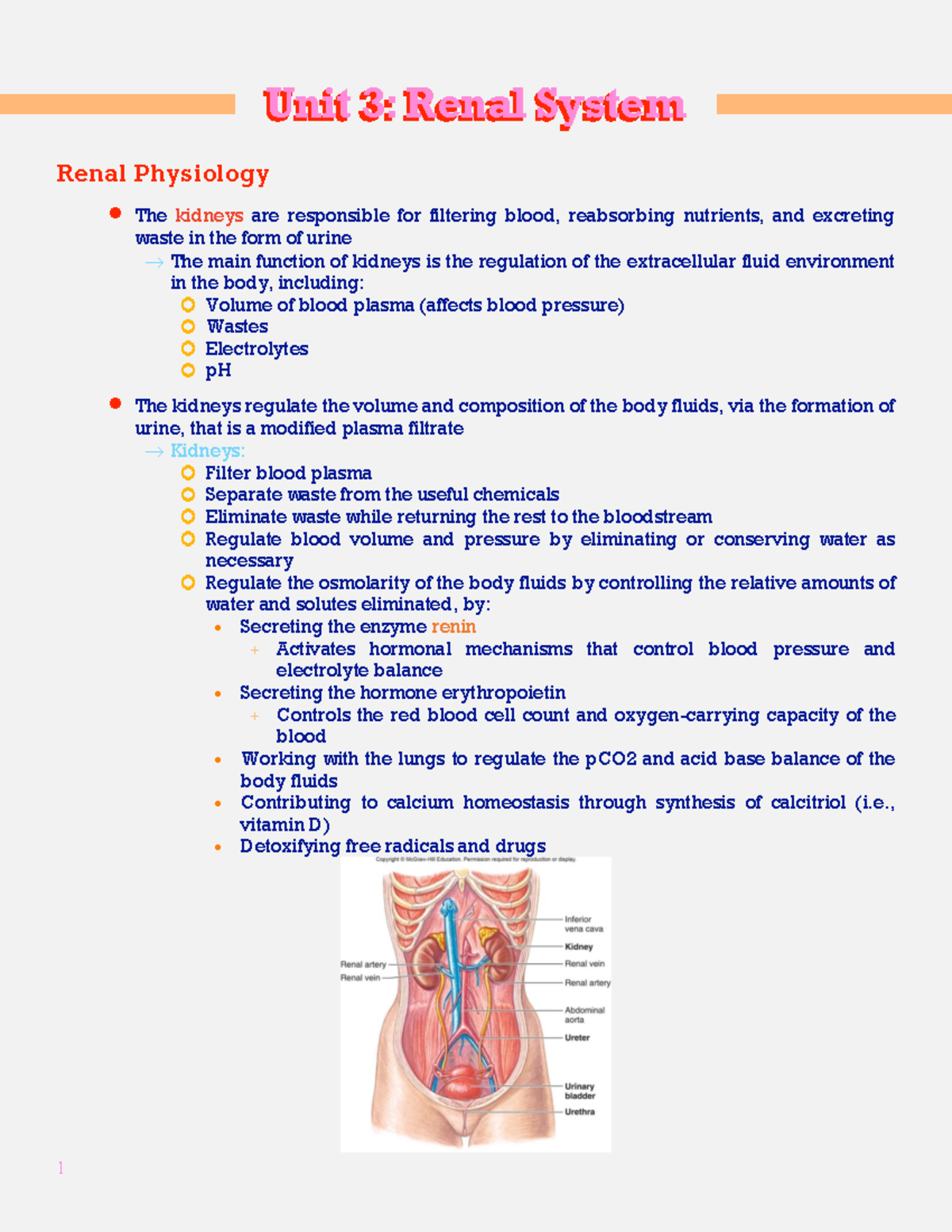 Unit 3 - Renal Physiology - Unit 3: Renal System Renal Physiology • The ...