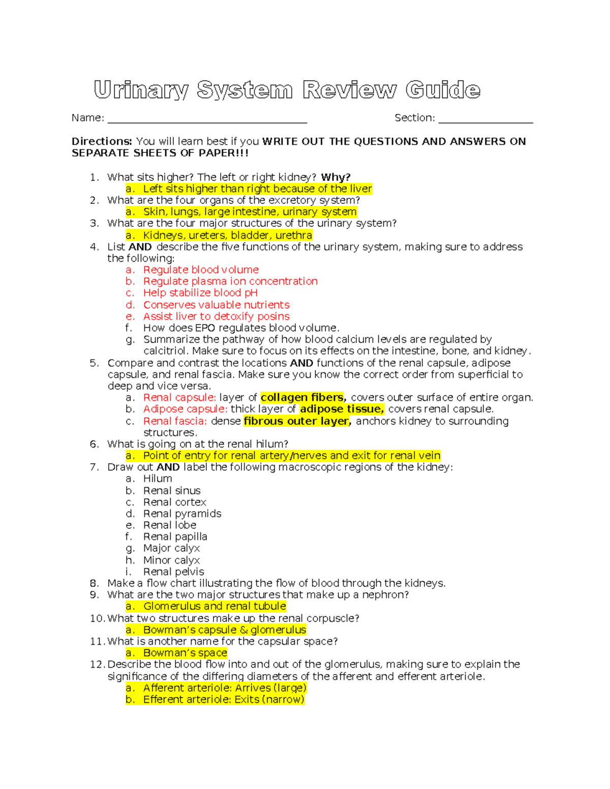 EXAM 4 202 lecture study guide - Name ...