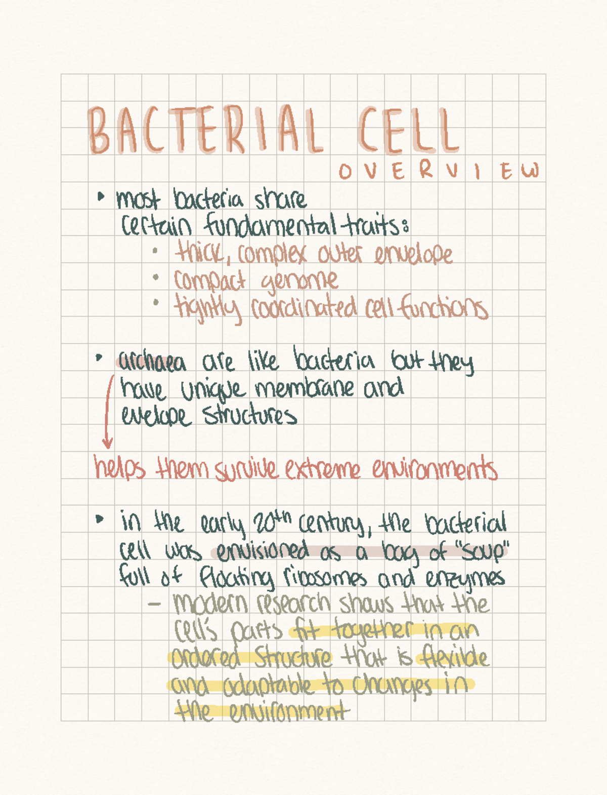 Lecture 3 Notes - BACTERIAL CELL O V E R U I E W most bacteria share ...