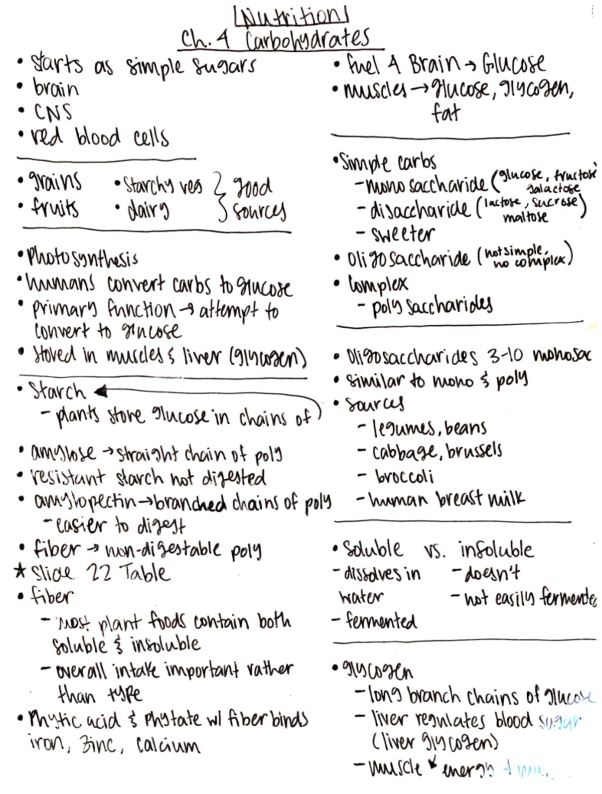 Chapter 5 carbs - Professor Michael Rhone - nono saccharide (glucose ...