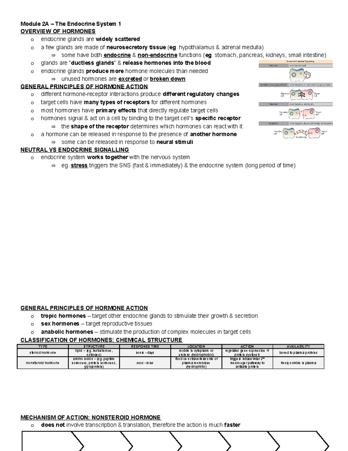 M2A - Endocrine System 1 - Module 2A – The Endocrine System 1 OVERVIEW ...