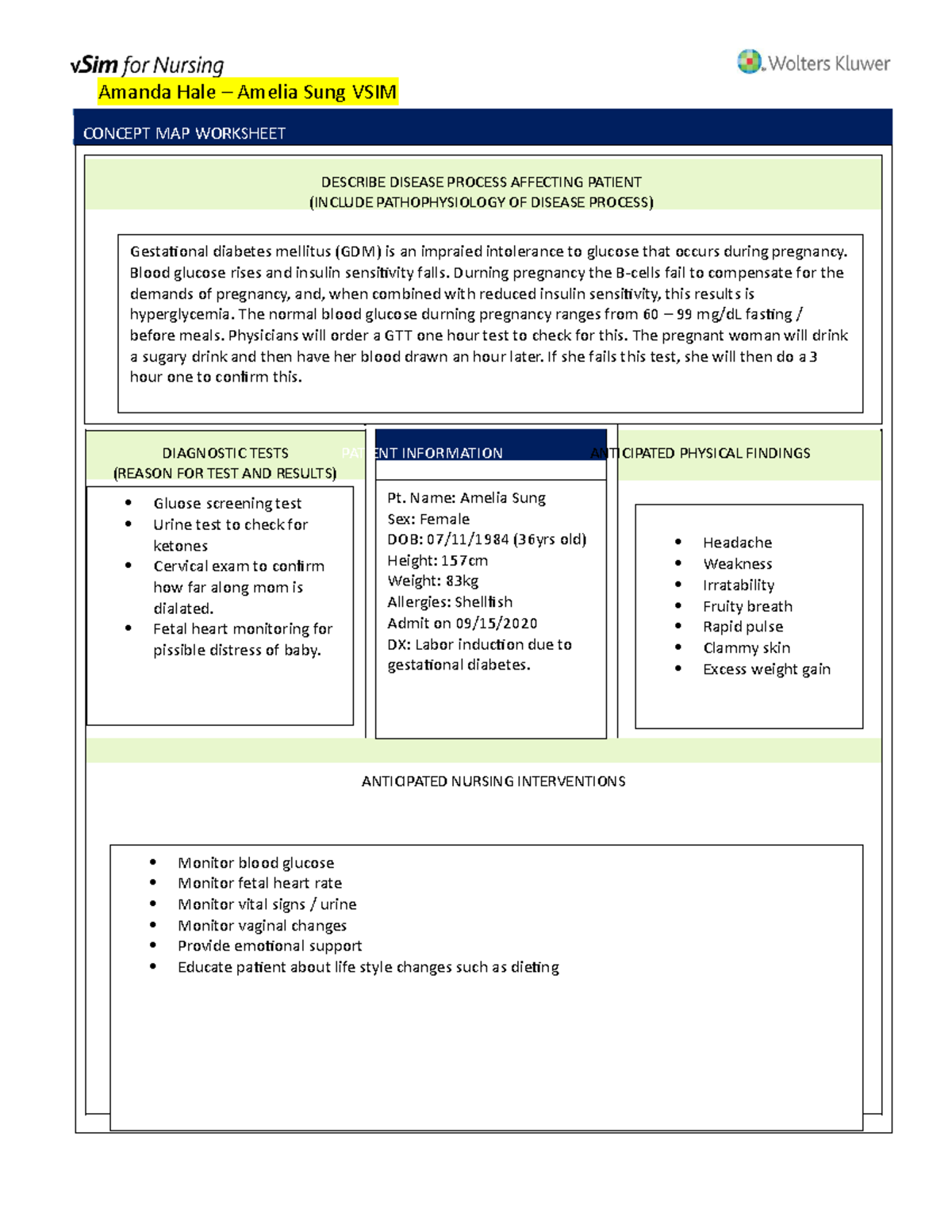 Amanda Hale - Amelia Vsim - Amanda Hale – Amelia Sung VSIM CONCEPT MAP ...