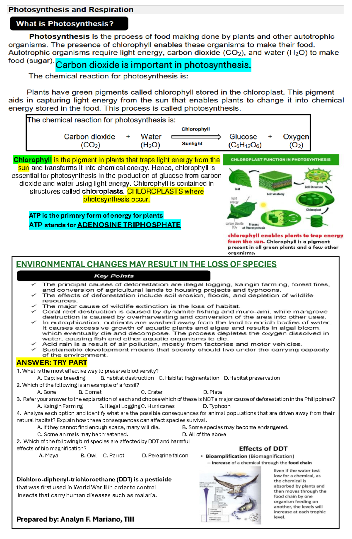 Photosynthesis Lecture - Carbon dioxide is important in photosynthesis ...