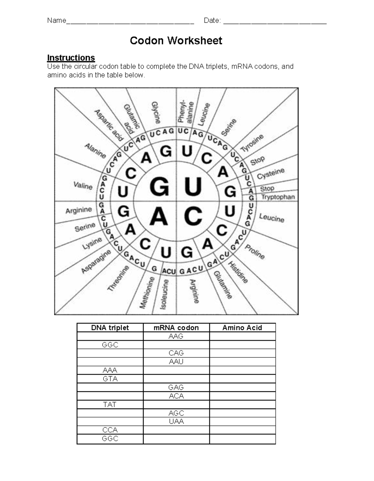 Codon Worksheet minus trna - Name________________________________ Date