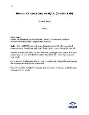 (6) 580128 Cell Structure and Function Eukaryotes Prokaryotes Viruses ...