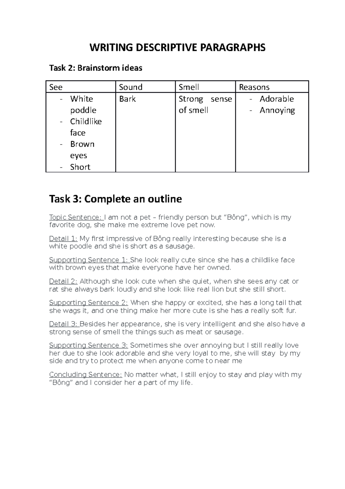Writing Descriptive Paragraphs - WRITING DESCRIPTIVE PARAGRAPHS Task 2 ...