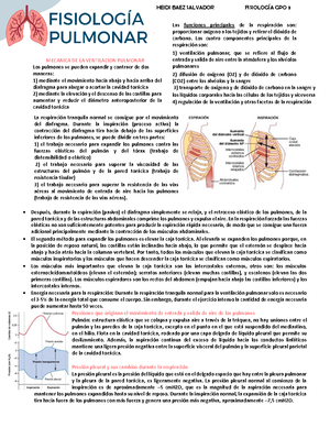 Fases DE LA Inflamación - FASES DE LA INFLAMACIÓN La inflamación se ...