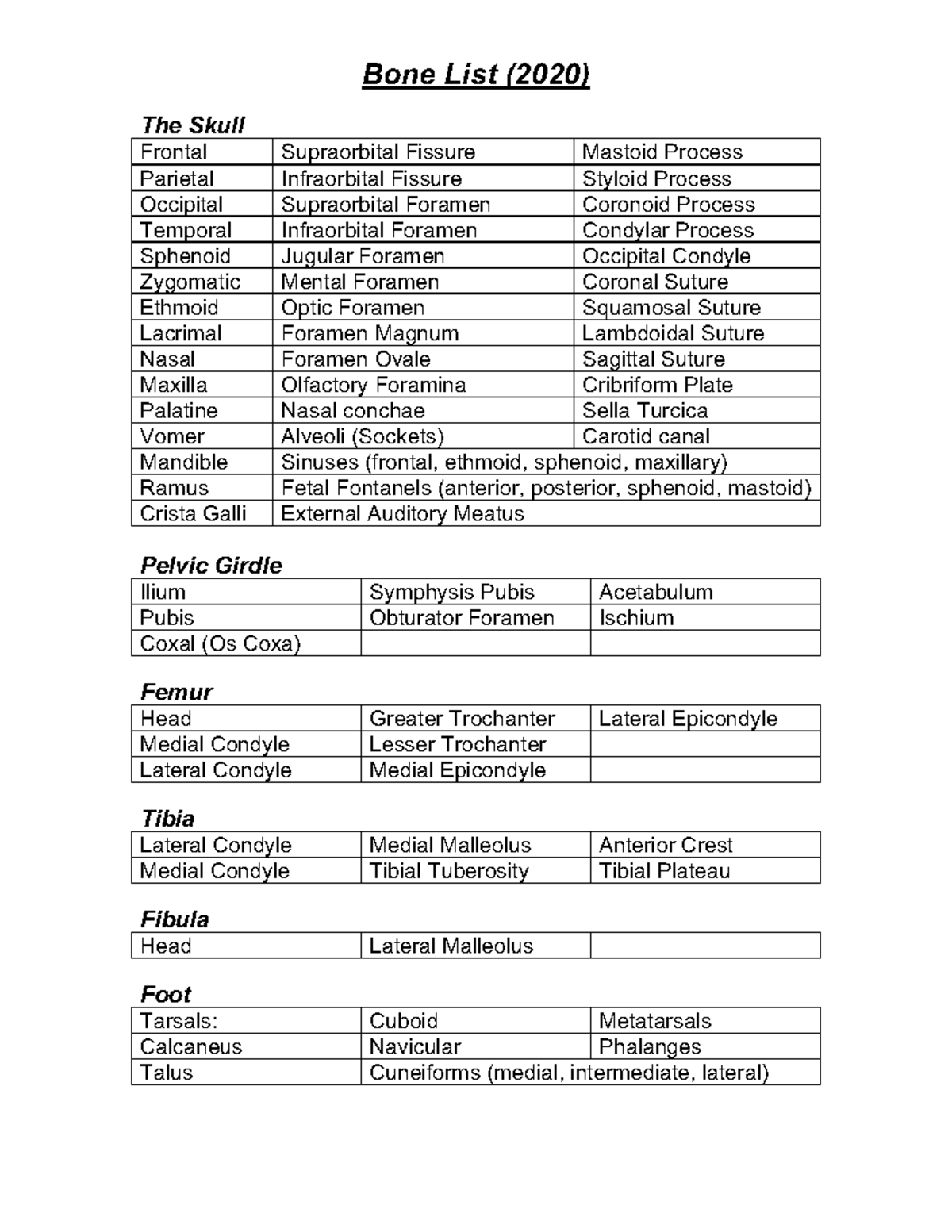 Complete Bone List 2024 - Bone List (2020) The Skull Frontal Supraorbital Fissure Mastoid ...