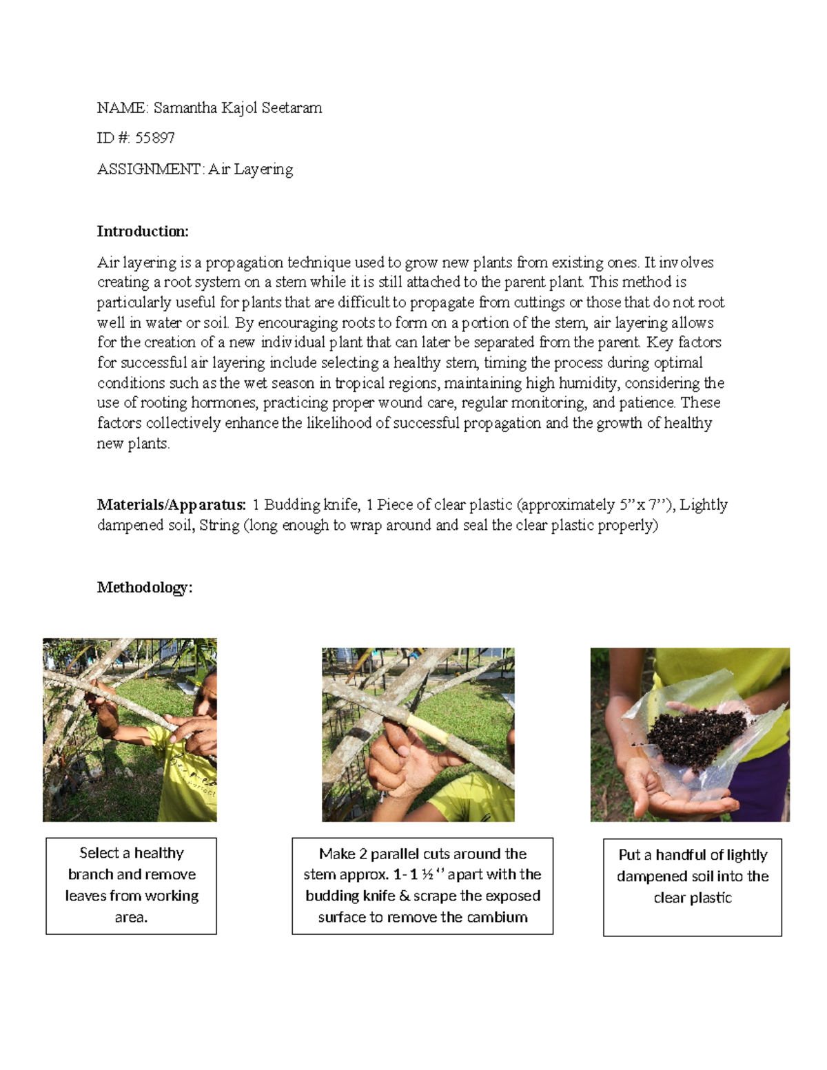 Air Layering Project - NAME: Samantha Kajol Seetaram ID #: 55897 ...