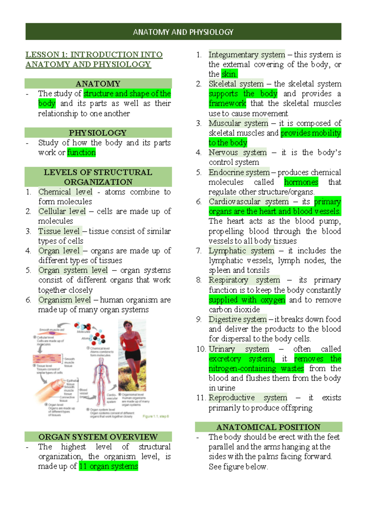 Anaphy- Prelims - Full info of exam in prelim - LESSON 1: INTRODUCTION ...