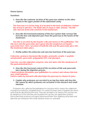 Two Way light Switch - lab report - Two Way light Switch Lab Report EE ...