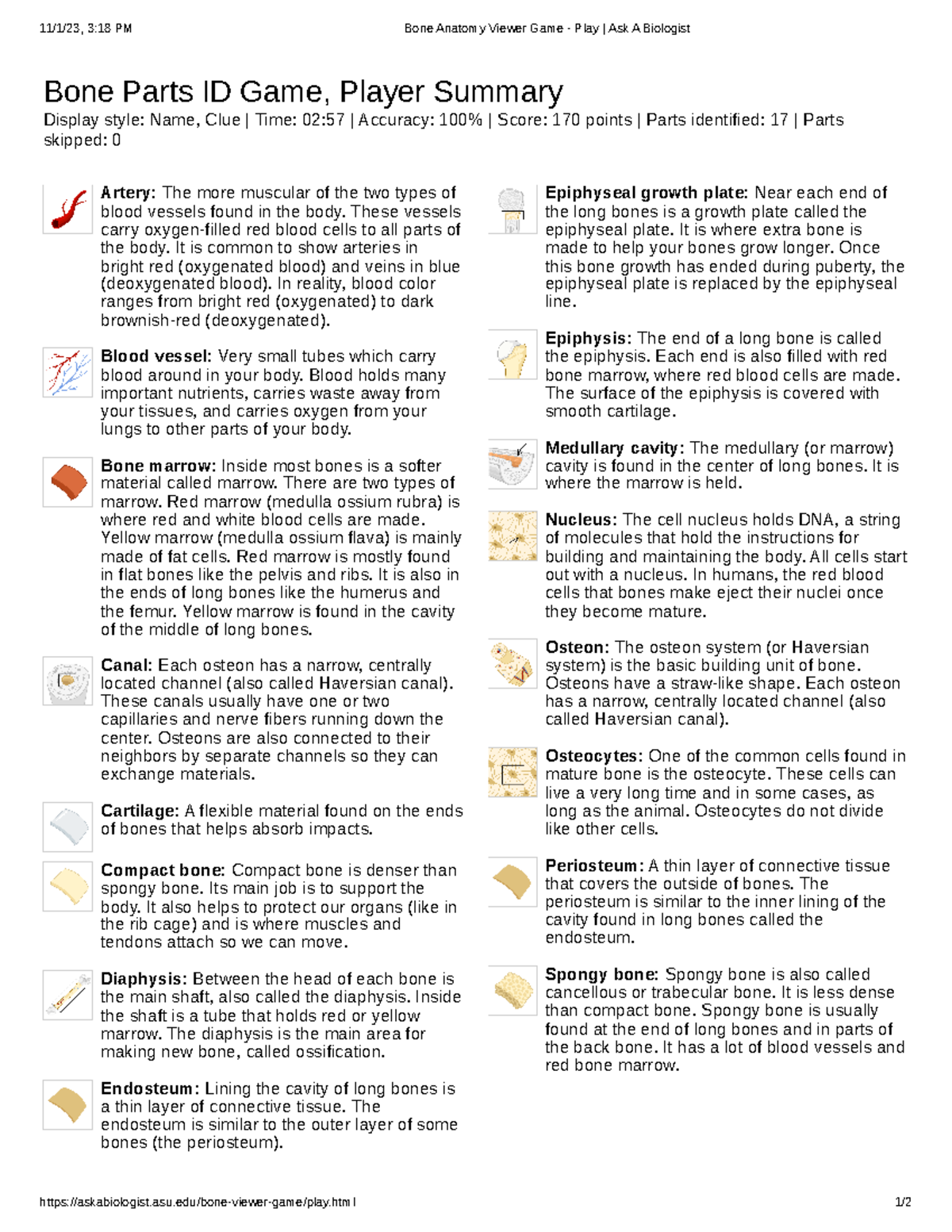 Bone Anatomy Viewer Game - Play Ask A Biologist - 11/1/23, 3:18 PM Bone ...