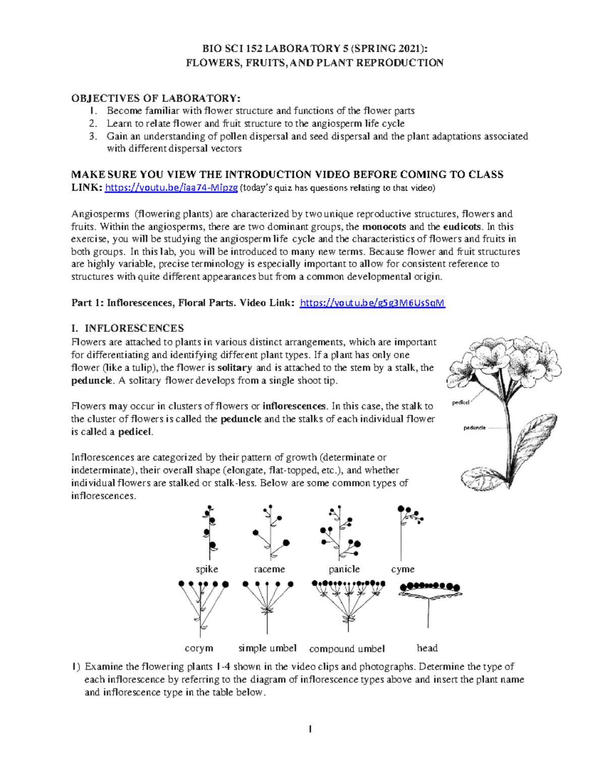Lab 5 Manual - Flowers & Fruits - BIO SCI 152 LABORATORY 5 (SPRING 2021 ...