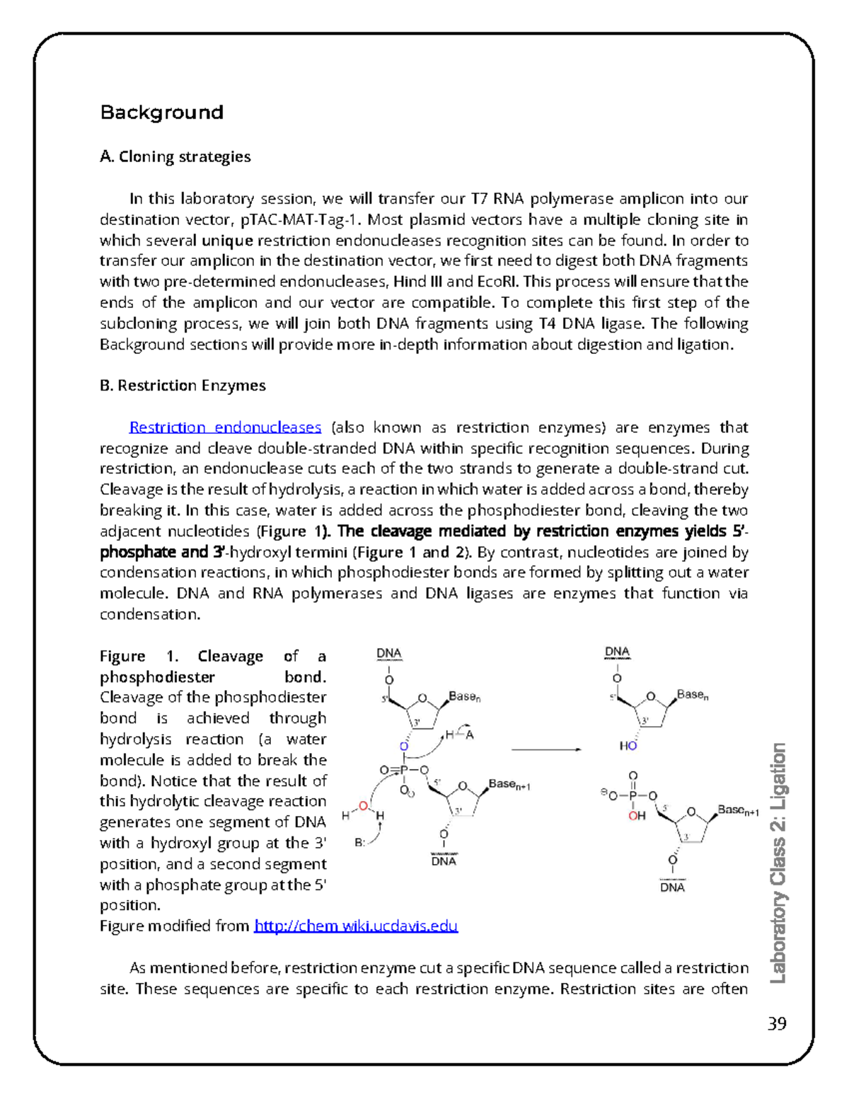 L2B - lab 2 background - Background A. Cloning strategies In this ...