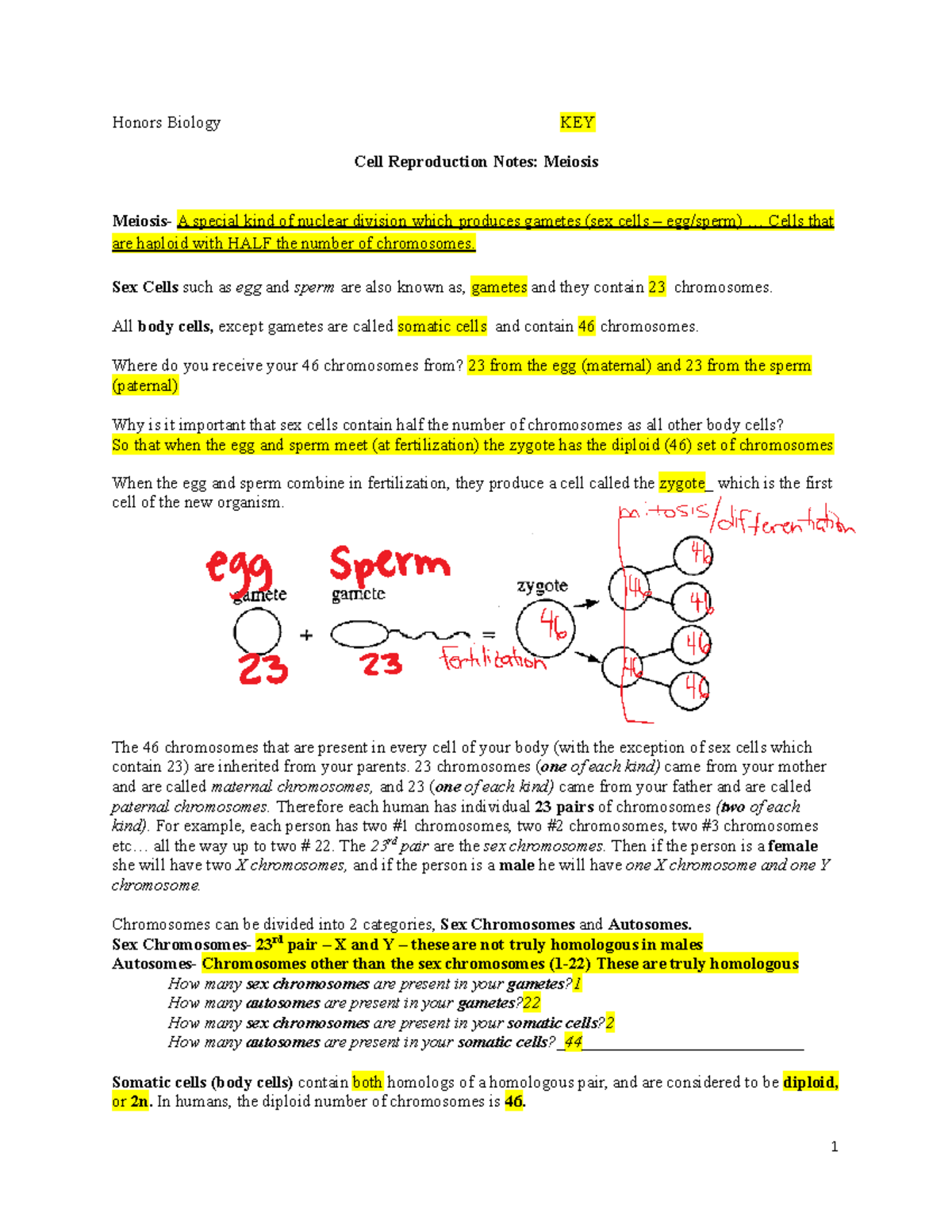 Meiosis Notes Packet KEY 1819 - Honors Biology KEY Cell Reproduction ...