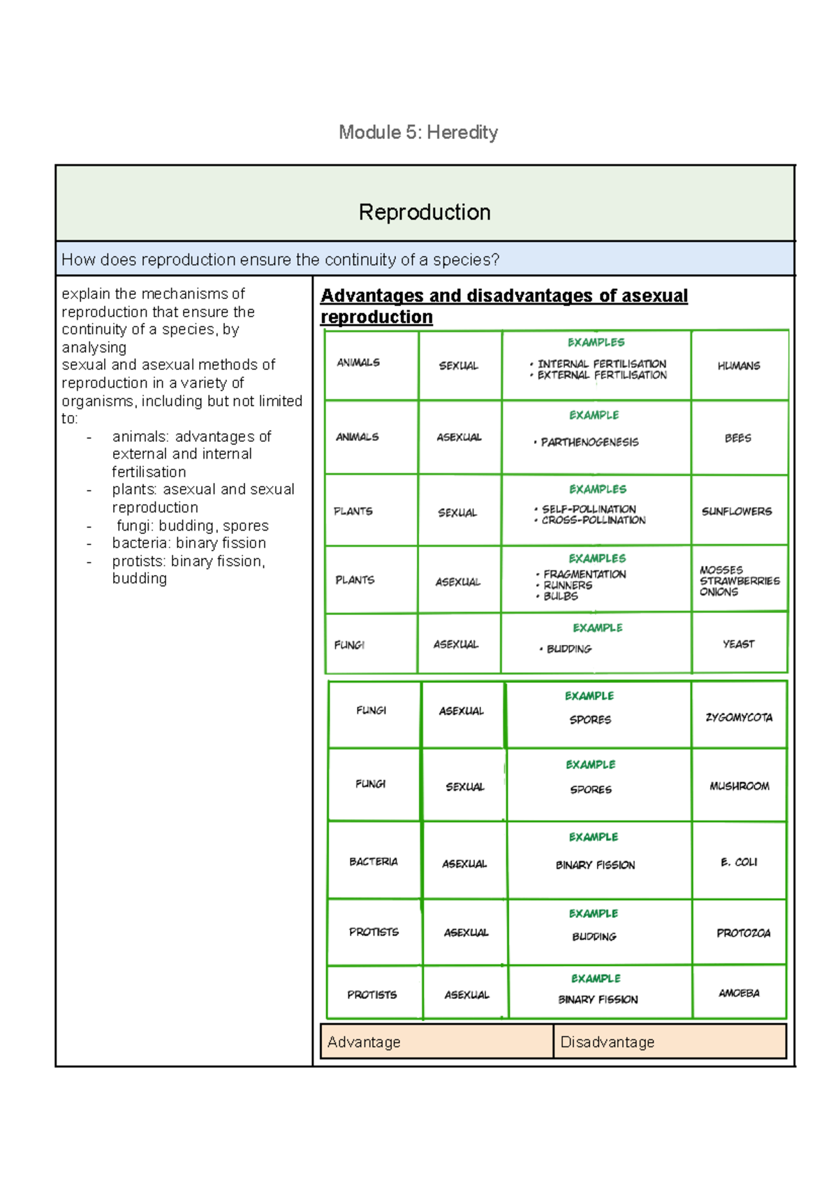 Biology Module 5 Heredity Module 5 Heredity Reproduction How Does Reproduction Ensure The
