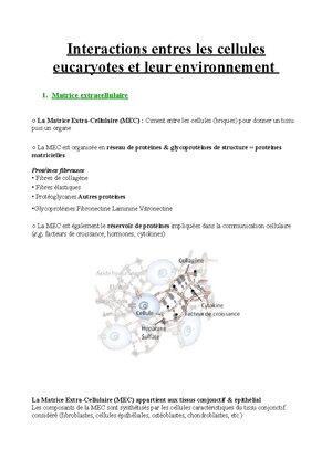 Bio celle - matrice extracellualire - Biologie cellulaire IV ...