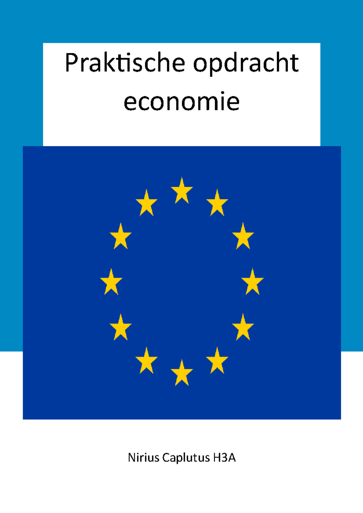 Praktische opdracht economie - Praktische opdracht economie Nirius ...