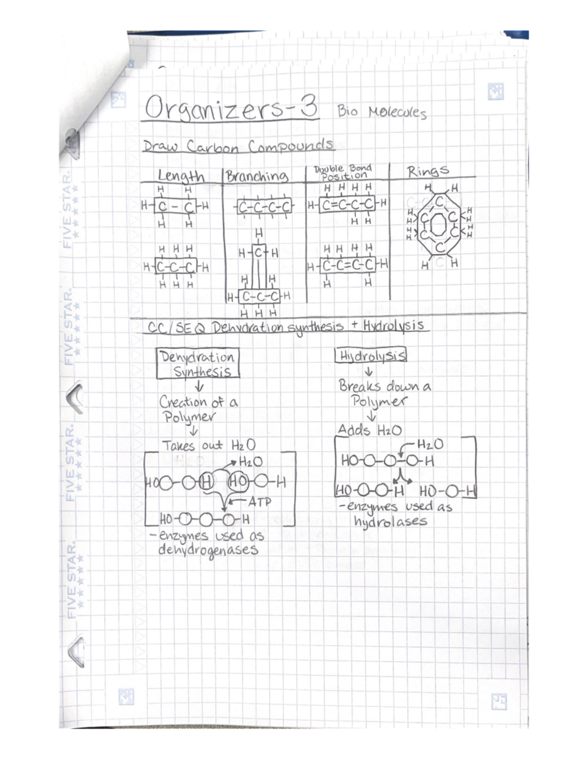 Draw Carbon Compounds - BIO 115 - Studocu