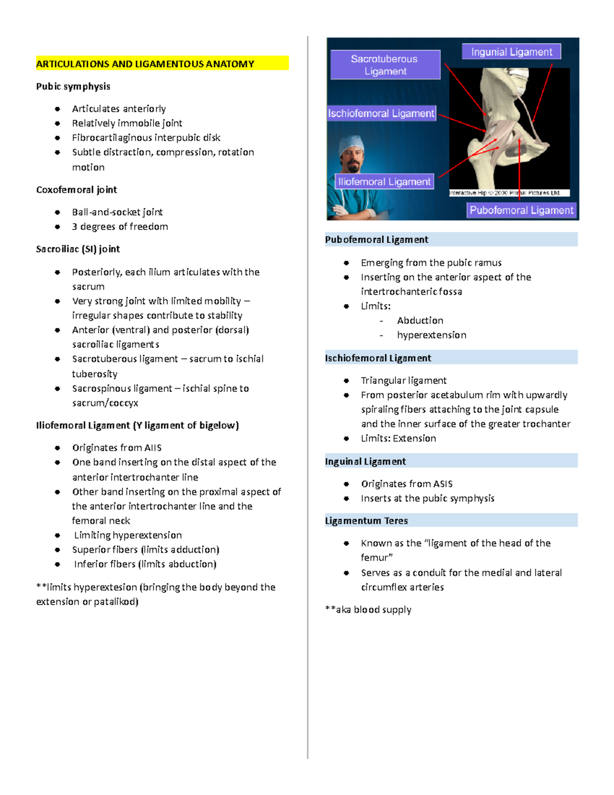 Articulations AND Ligamentous Anatomy - ARTICULATIONS AND LIGAMENTOUS ...
