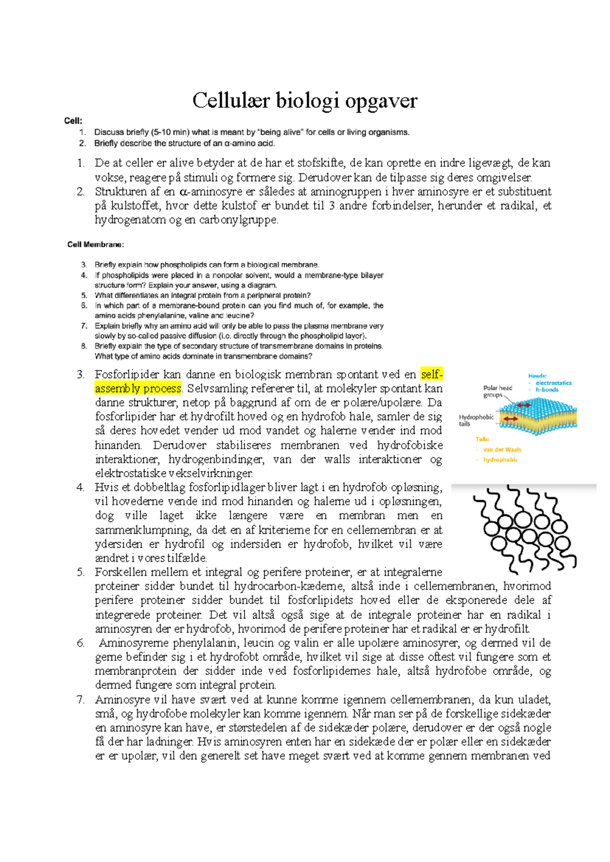 CMB opgaver Cellens struktur og funktion - Cellulær biologi opgaver De at celler er alive ...
