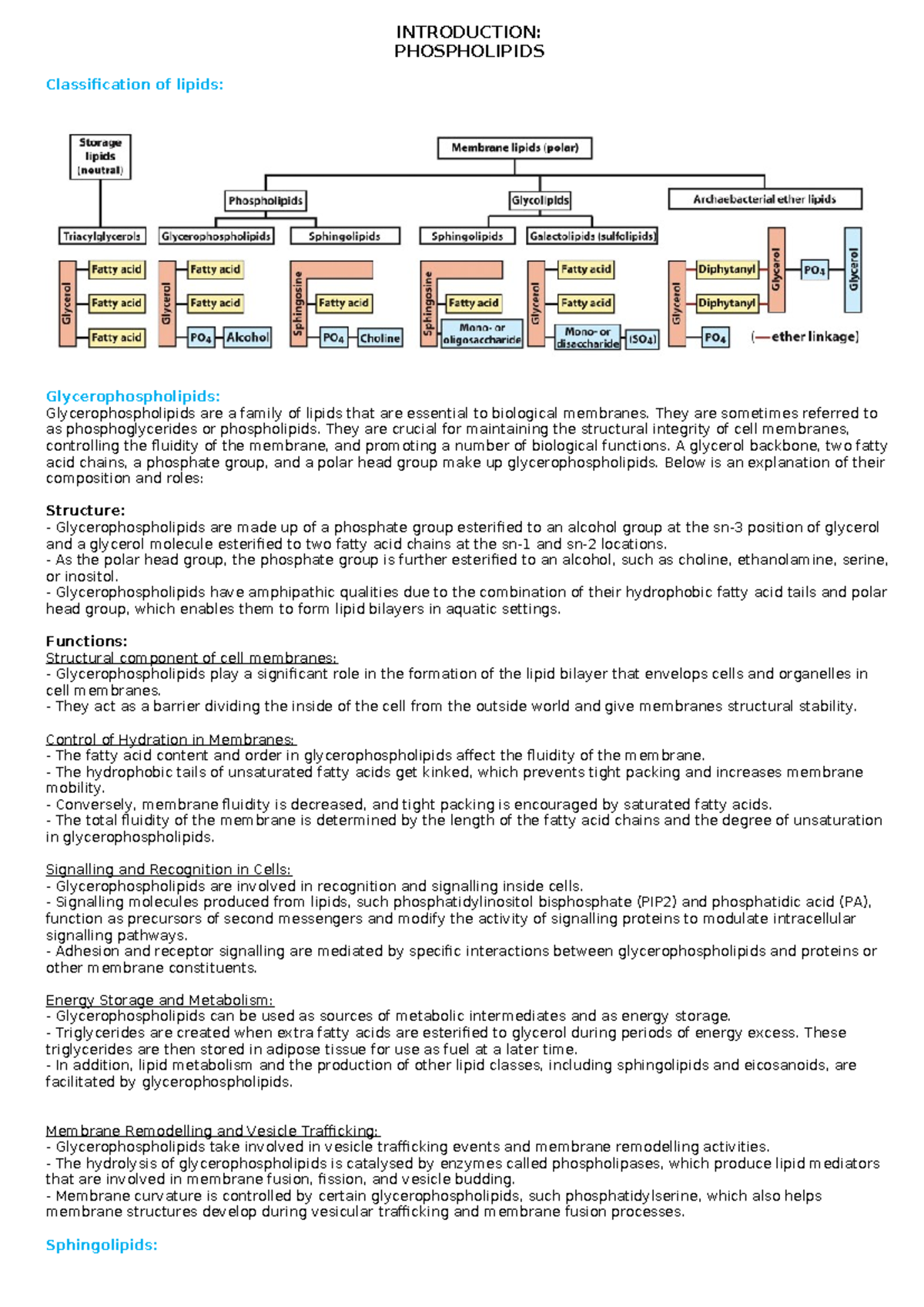 Introduction to Phospholipids - INTRODUCTION: PHOSPHOLIPIDS ...