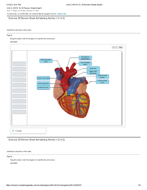 Physio Ex Exercise 5 Activity 3 - PhysioEx Lab Report Exercise 5 ...