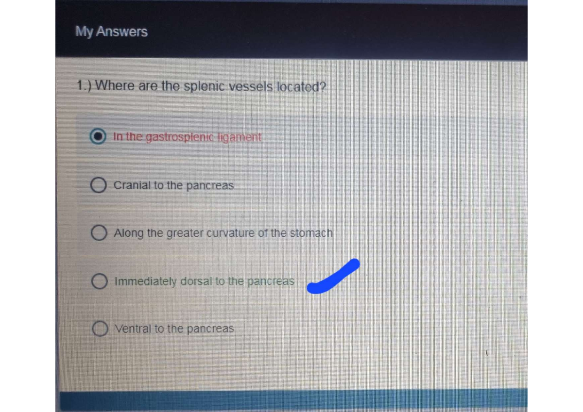 Open Splenectomy Incision - Internal Medicine - Studocu