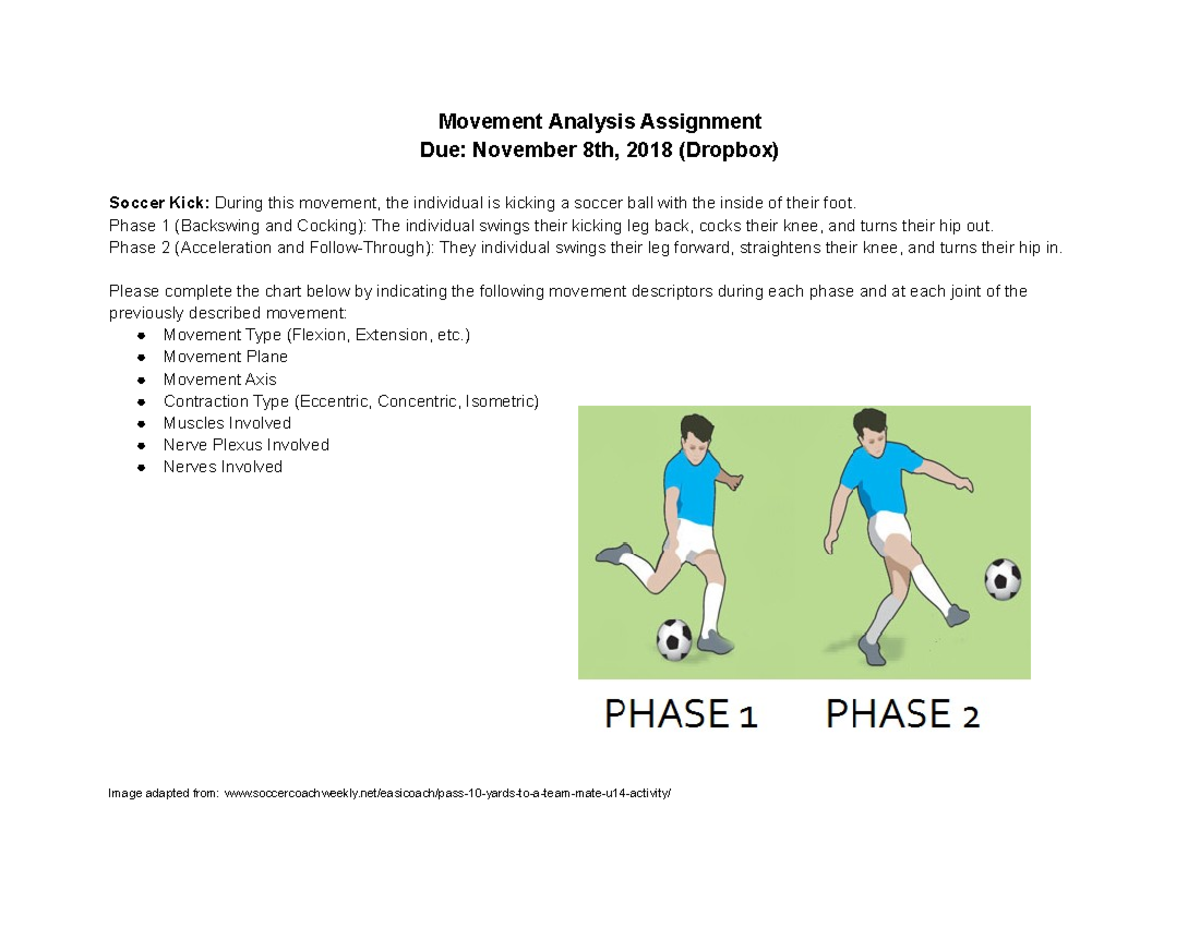 HKR 2311 Movement Analysis Lab - Movement Analysis Assignment Due ...