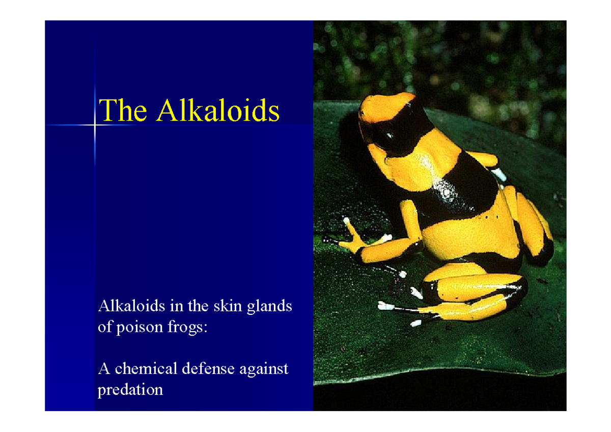 June192007 - The Alkaloids Alkaloids in the skin glands of poison frogs ...