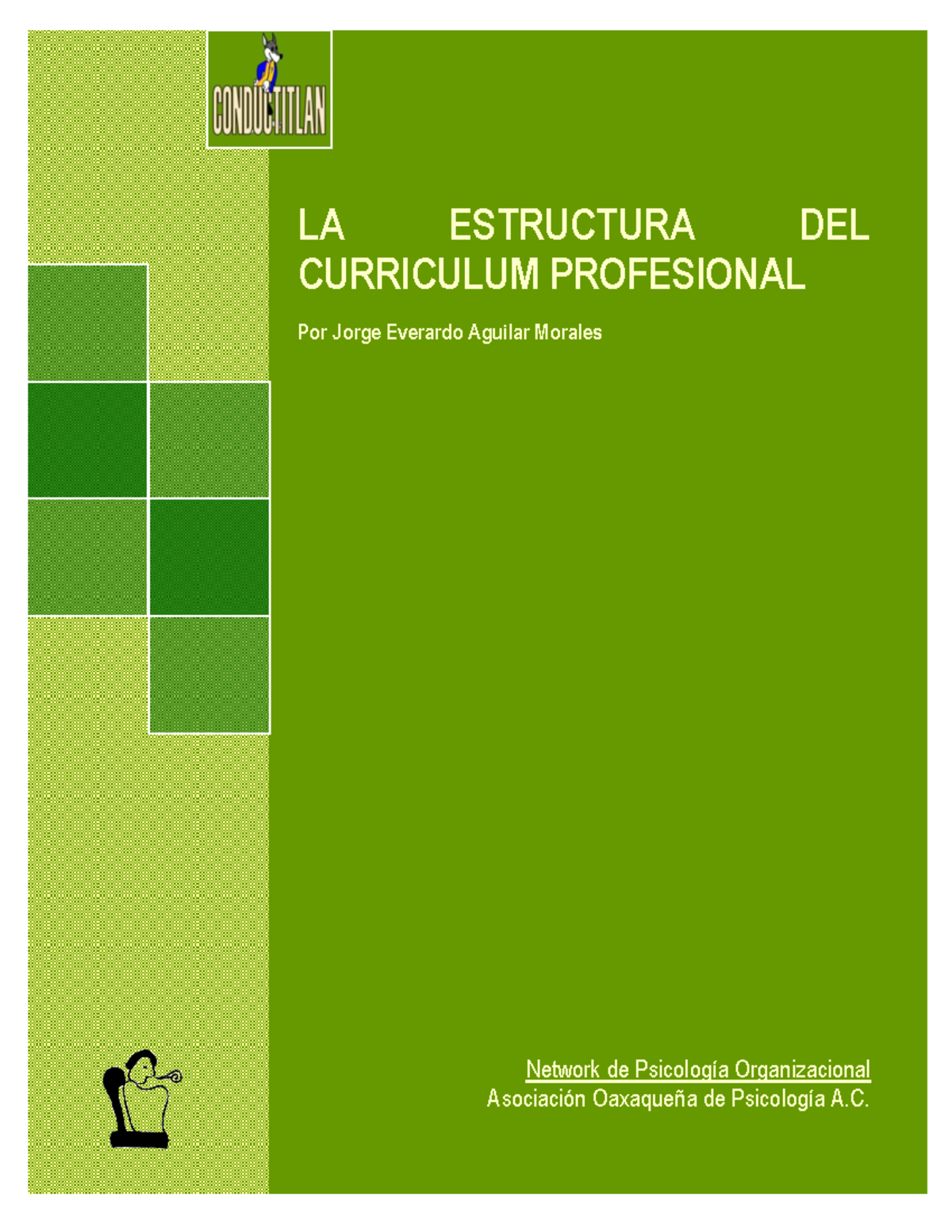 Estructura curriculum profesional - LA ESTRUCTURA DEL CURRICULUM ...