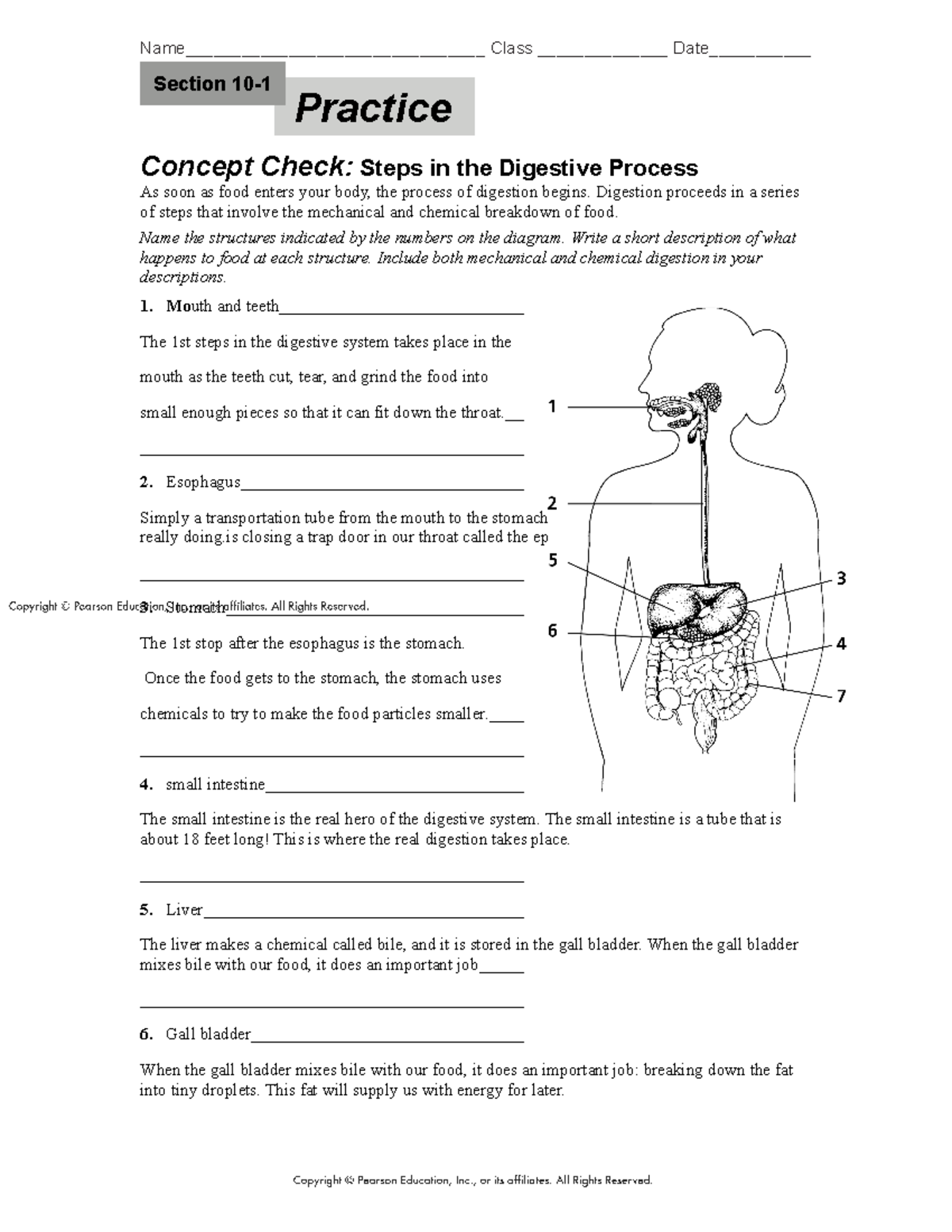 Steps in the Digestive System - Practice Name ...