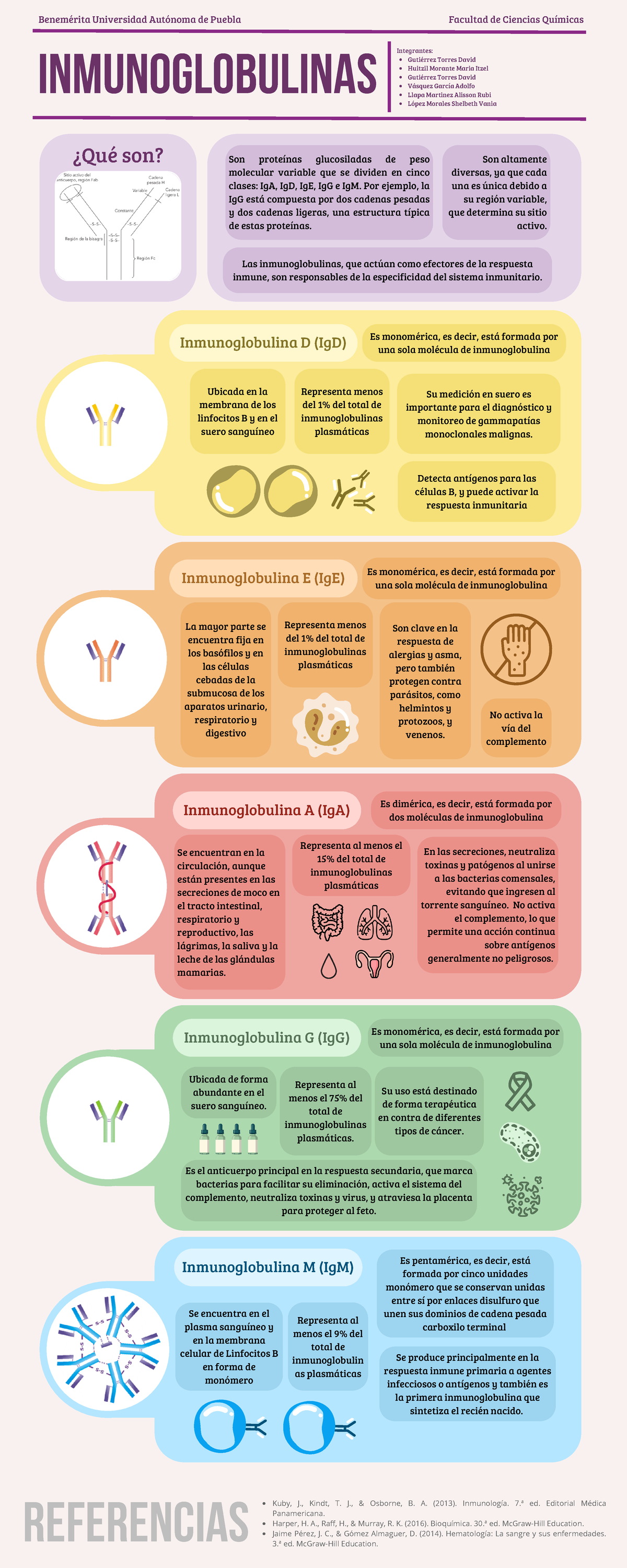 Infografía Inmunoglobulinas - Inmunoglobulina D (IgD) Inmunoglobulina E ...