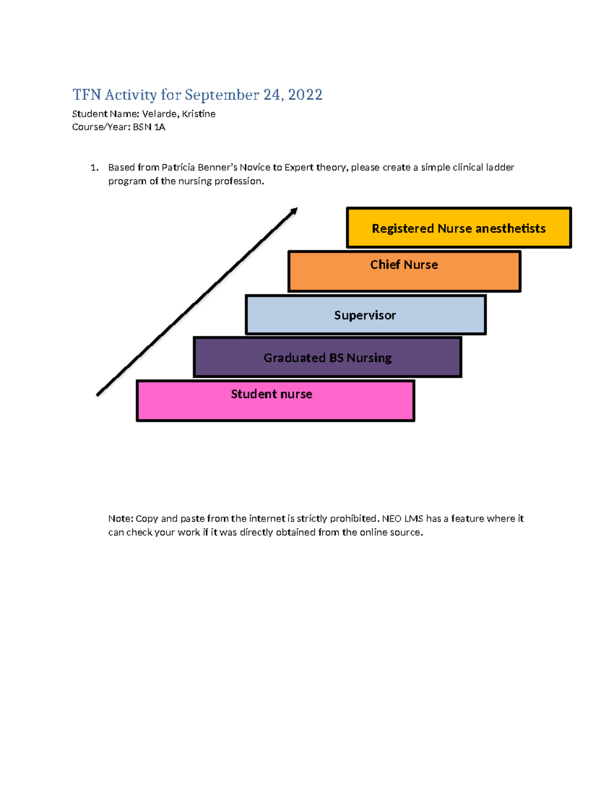 TFN Activity for September - Based from Patricia Benner’s Novice to ...