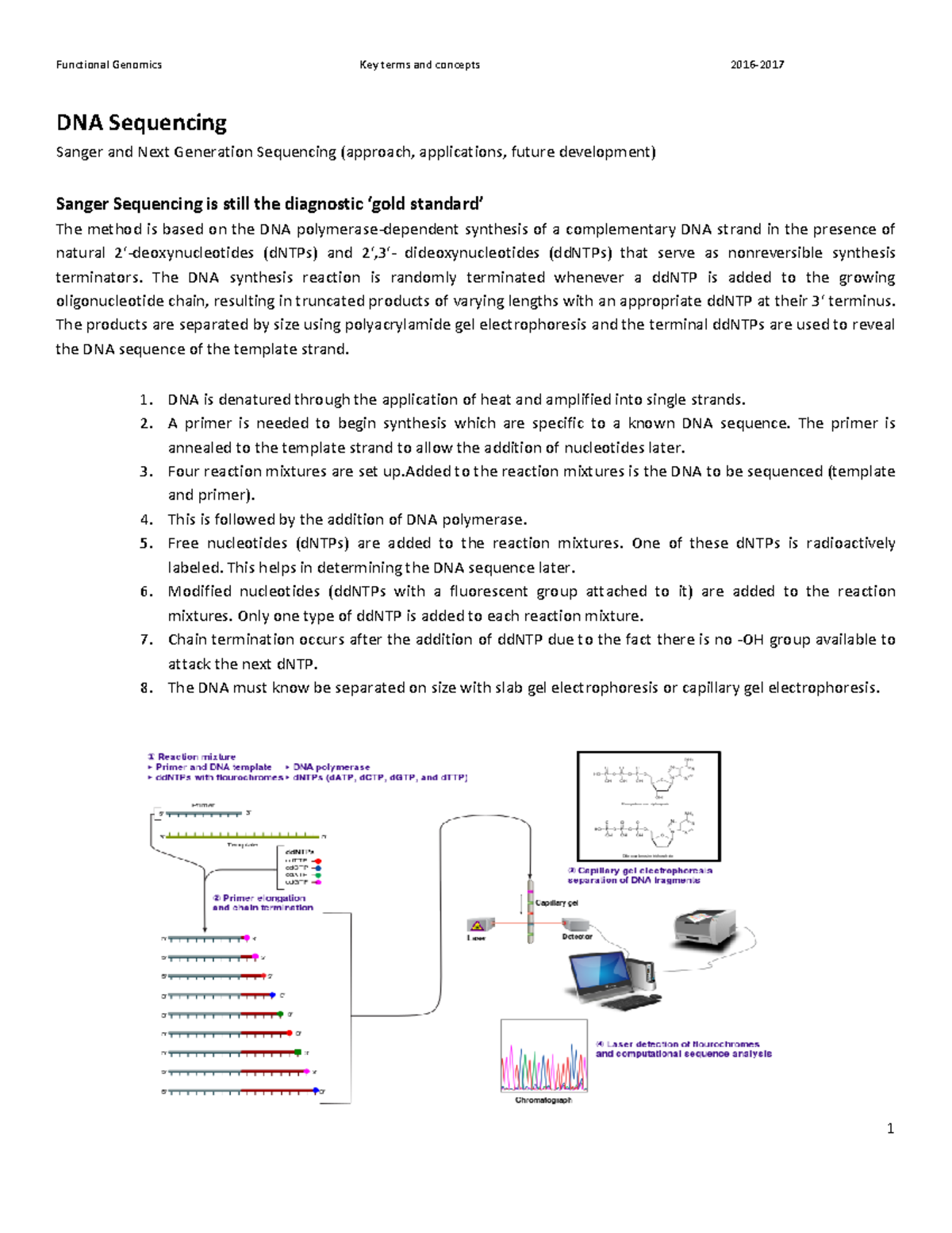 Fg Key Concepts And Terms Warning Tt Undefined Function 32 Warning Tt Undefined Function