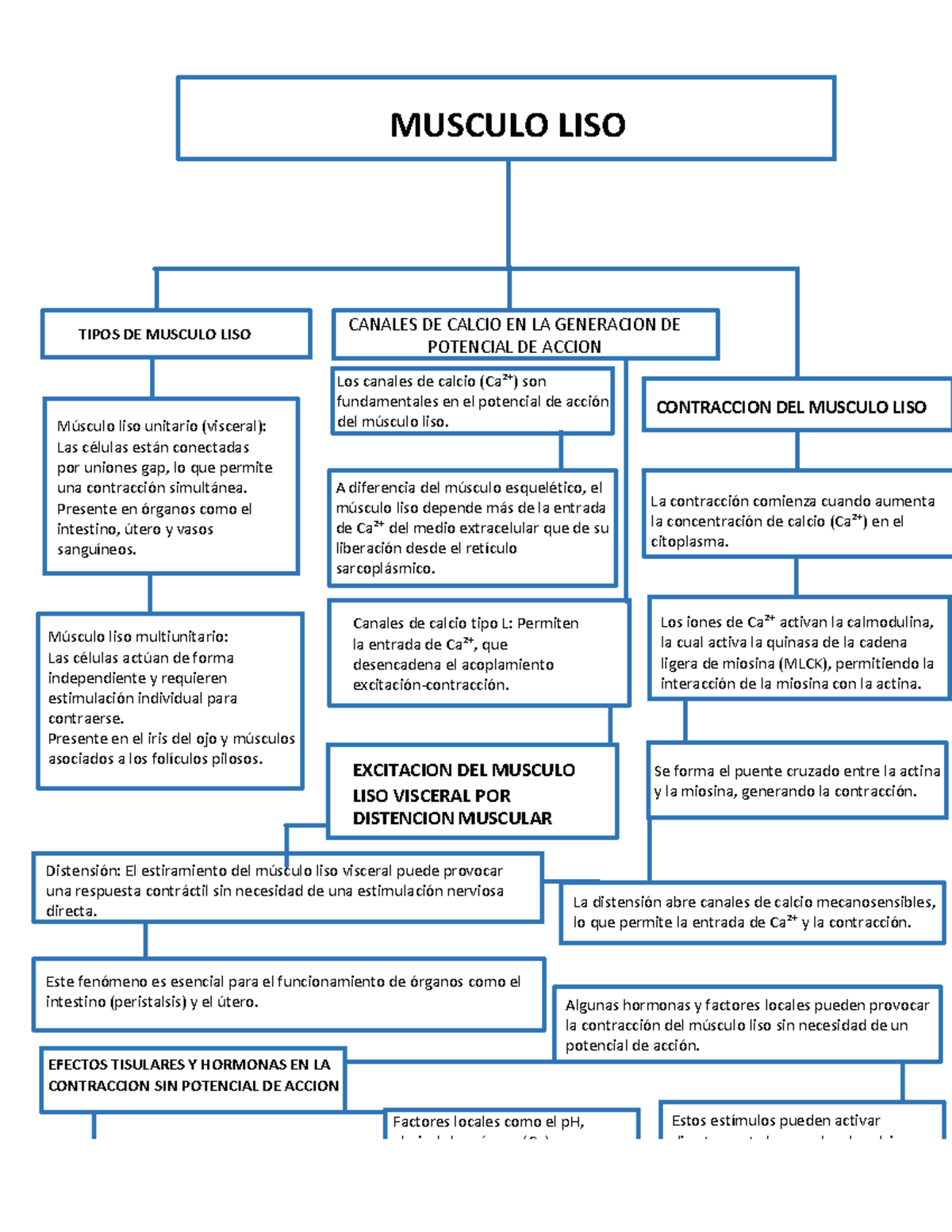 MAPA 4 Musculo liso - mapa conceptual - MUSCULO LISO CONTRACCION DEL ...