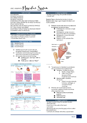 Quick Study Guide To The Cardiovascular System - TOPIC OUTLINE [1 ...