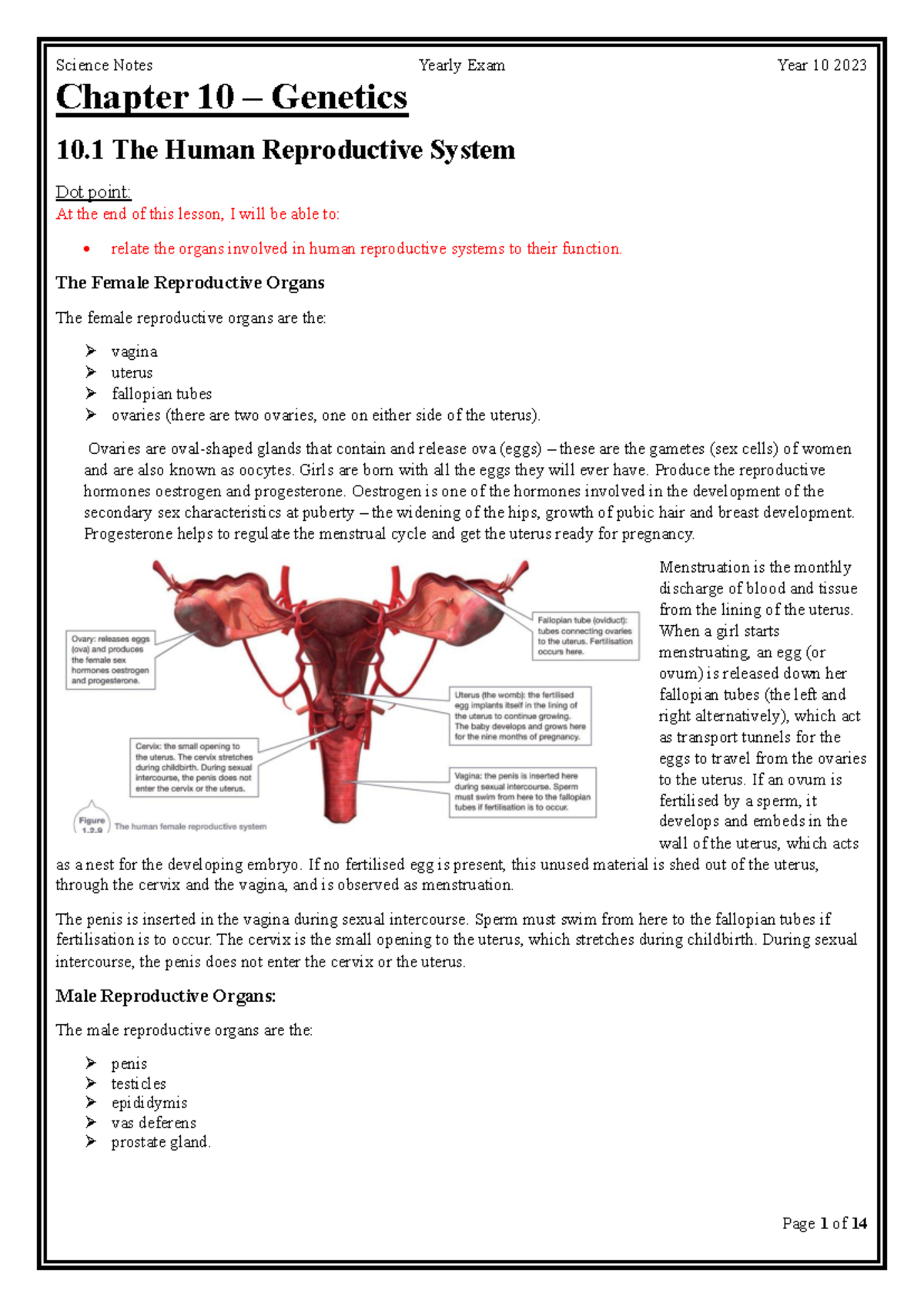 Science Notes - Chapter Ten Genetics - Chapter 10 – Genetics 10 The ...