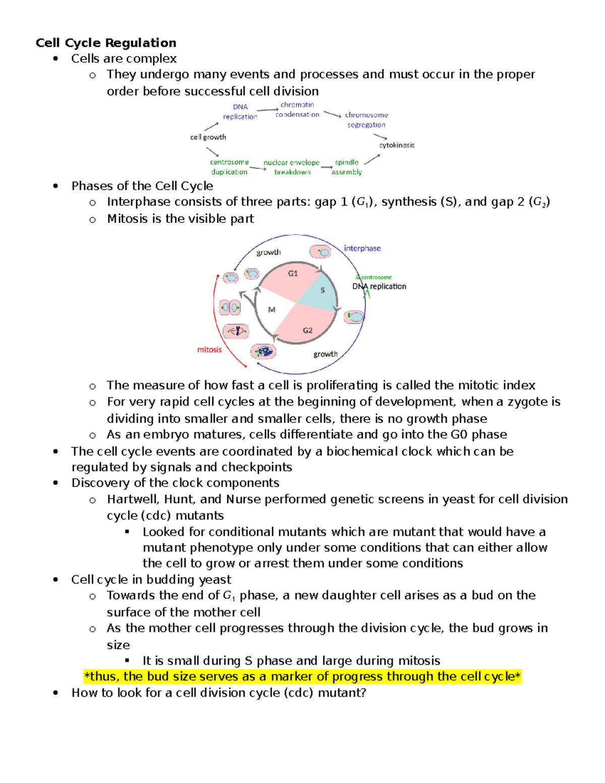 Lecture #21 - Cell Cycle Regulation Cells are complex o They undergo ...