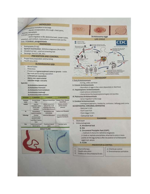 “Chloride” - Chloride lecture notes - “Chloride” Chloride It is the ...