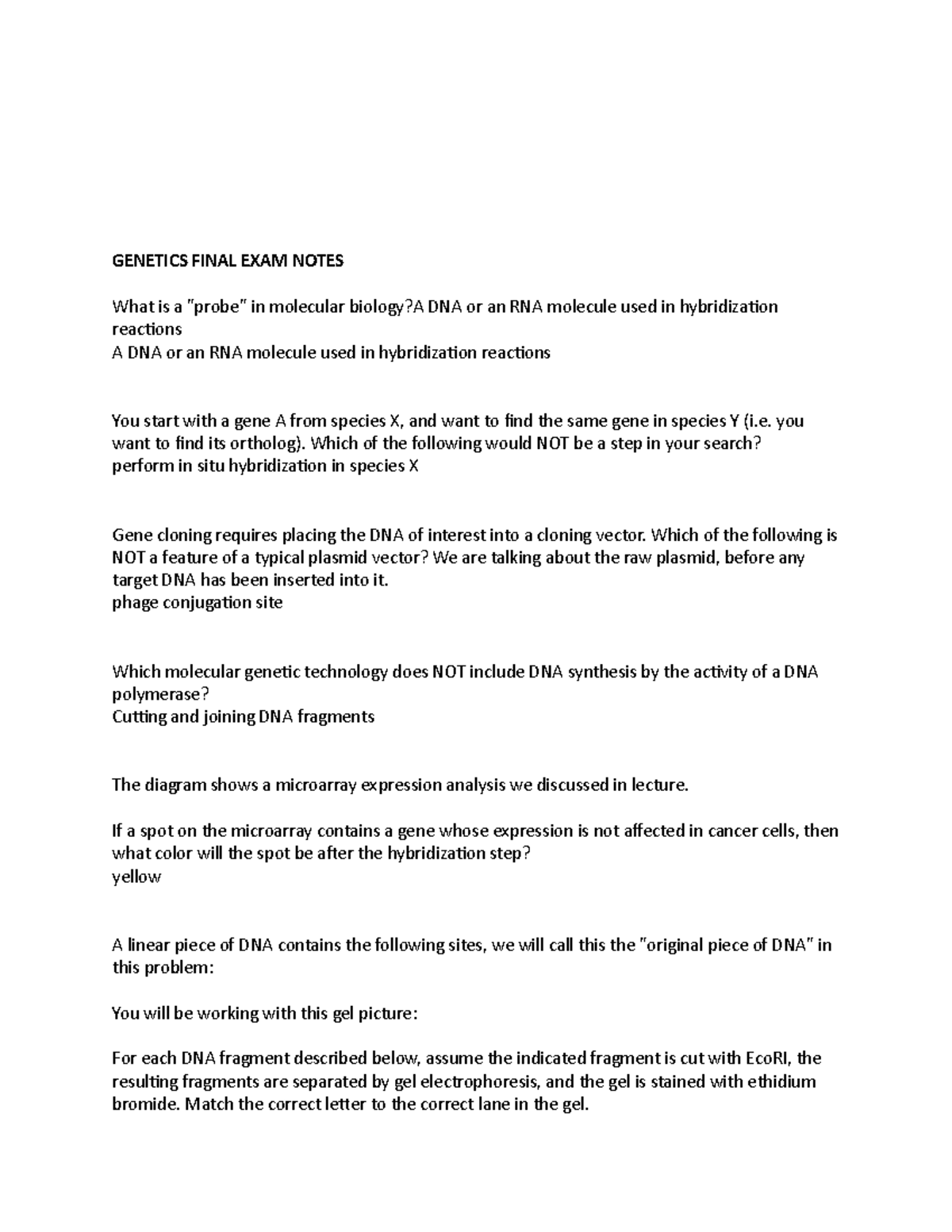 Genetics Final EXAM Notes - GENETICS FINAL EXAM NOTES What is a "probe ...