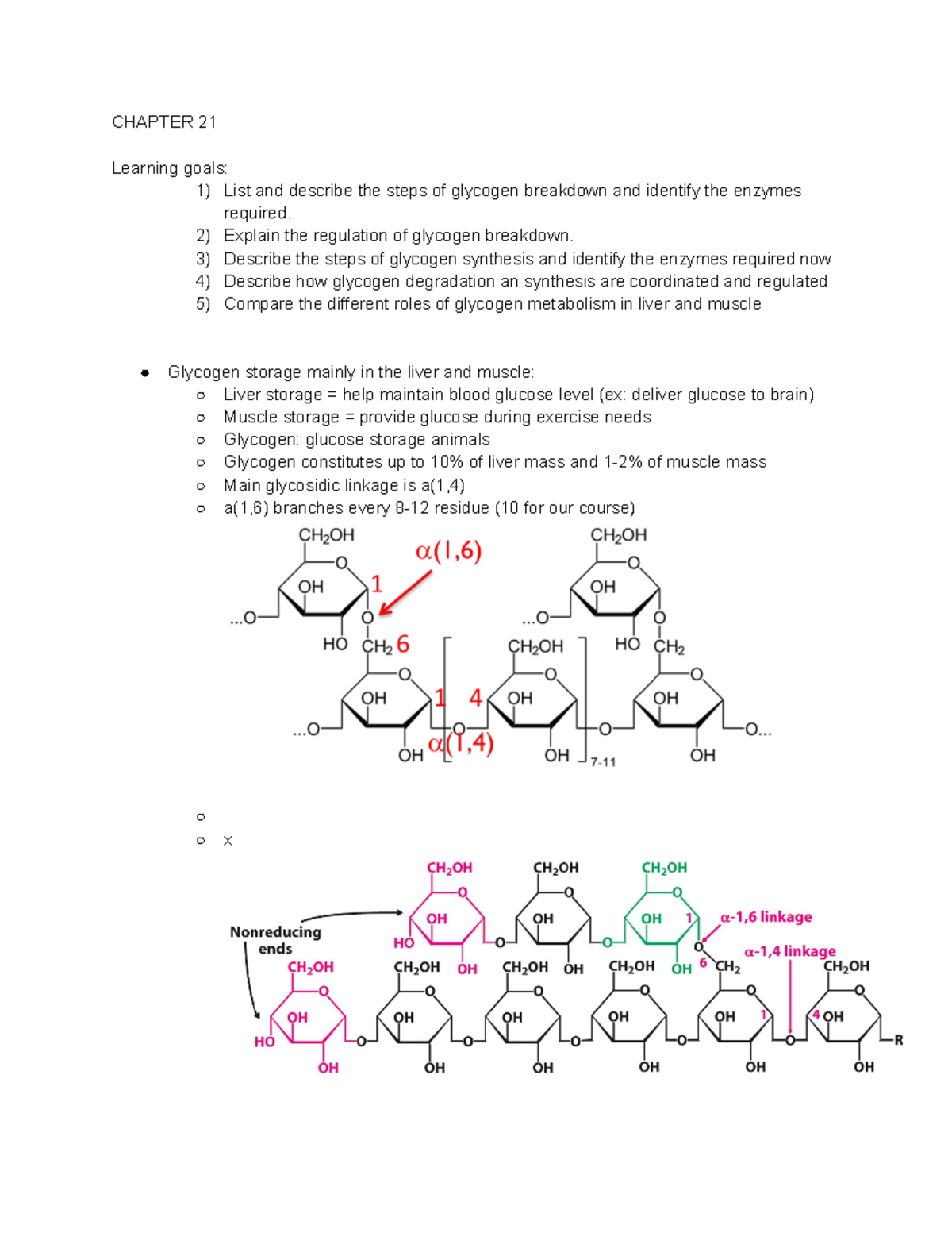 Biochem final - all slides - CHAPTER 21 Learning goals: 1) List and ...